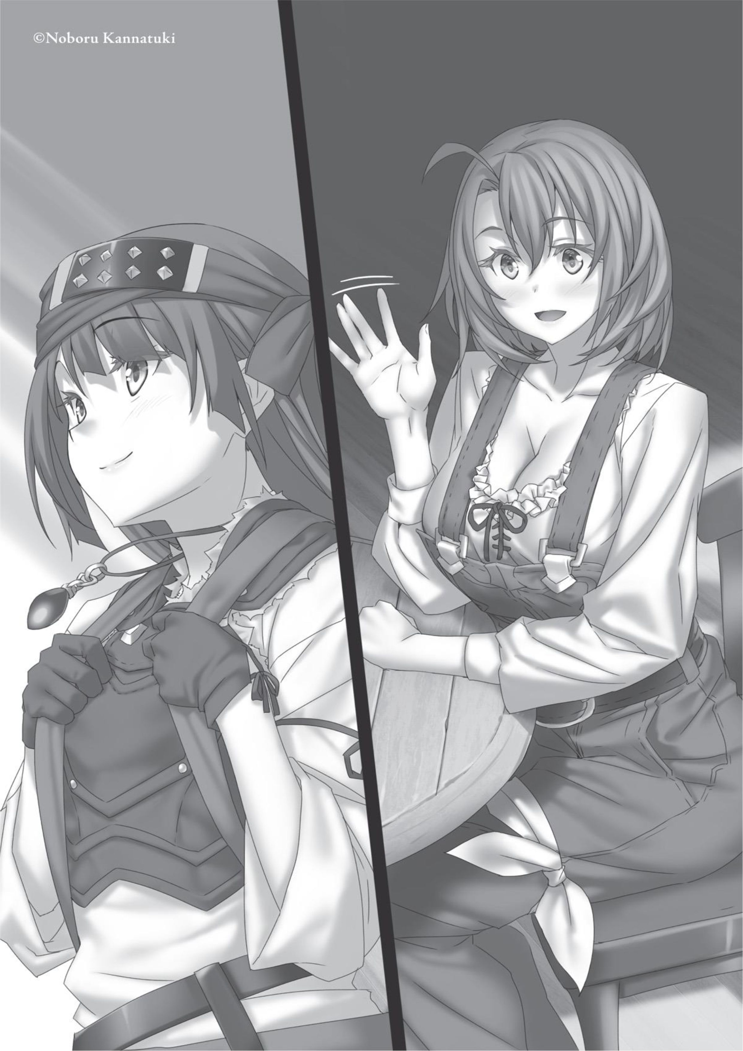 Goblin Slayer V15 Illustration - Megumi Novel