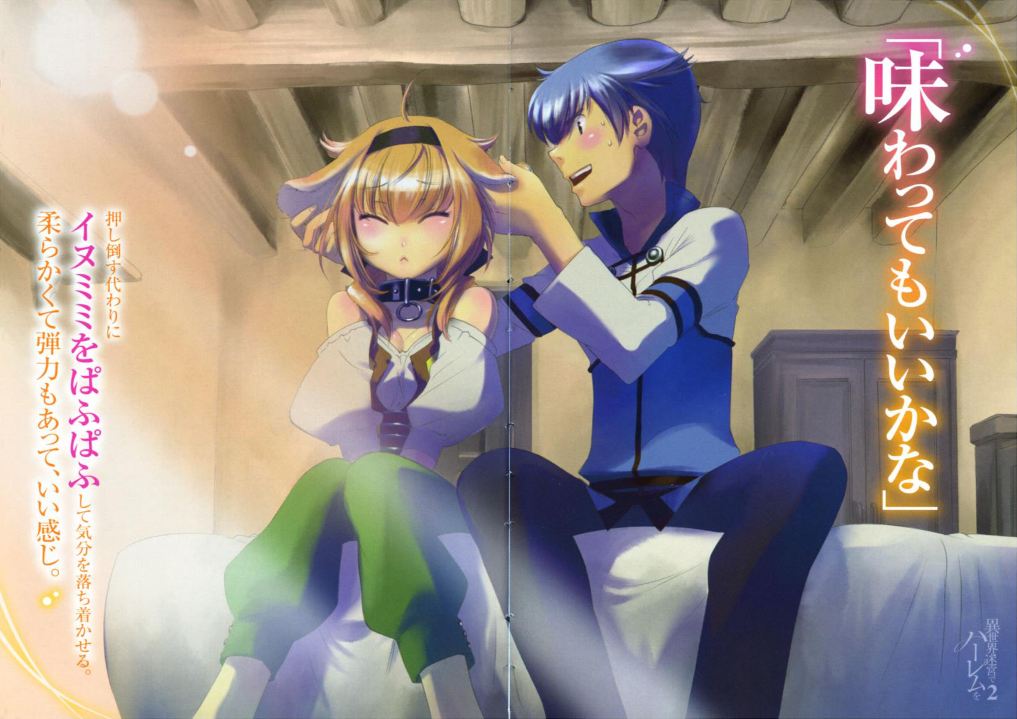 Isekai Meikyuu De Dorei Harem wo V2 Illustration - Megumi Novel