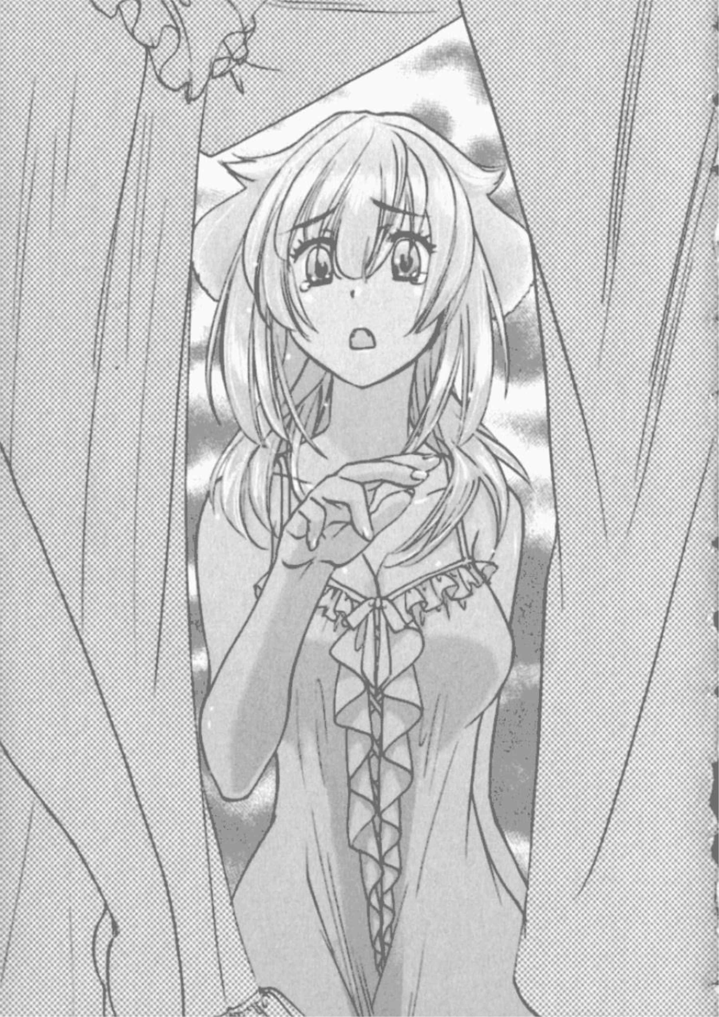 Isekai Meikyuu De Dorei Harem wo V4 Illustration - Megumi Novel
